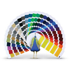 3M Folien Shop zertifizierter Händler Klebefolien Plott Digitaldruck ...